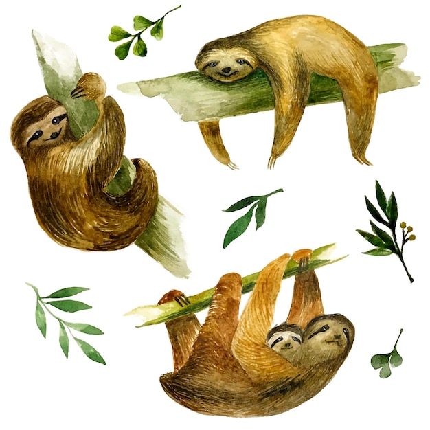 Playful Sloths Lounging Amidst Lush Foliage | Jiffy Designs