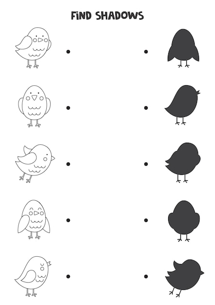 Adorable Bird Shadows Matching Activity for Kids | Jiffy Designs