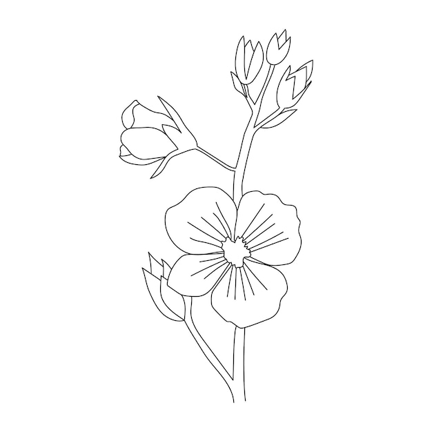 Delicate Floral Outline Drawing of Blooming Flowers | Jiffy Designs