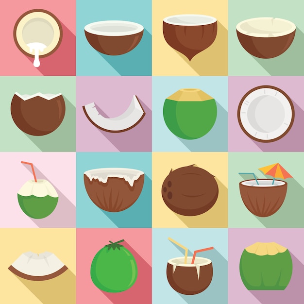 Vibrant Collection of Diverse Coconut Illustrations | Jiffy Designs