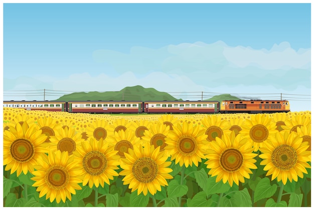 Sunflower Field with Train Passing Through Landscape Illustration ...