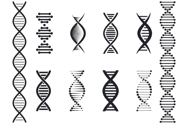 Diverse DNA Helix Symbols Depicting Genetic Structures | Jiffy Designs