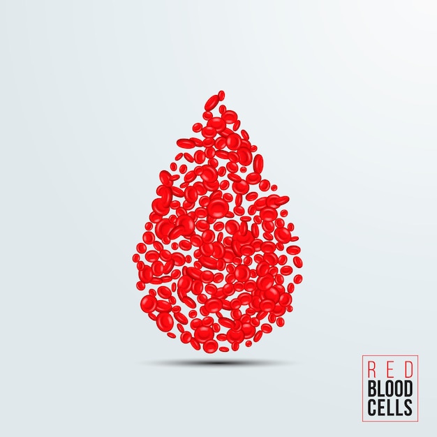 Vibrant Red Blood Cells Forming a Striking Teardrop Shape | Jiffy Designs