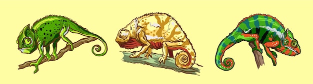 Vibrant Chameleons: Artistic Renditions of Captivating Creatures ...