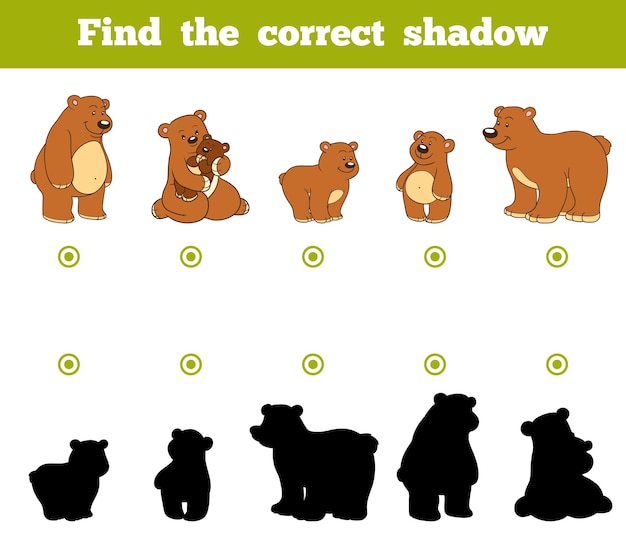 Adorable Bear Shadows: Match the Cuddly Creatures | Jiffy Designs