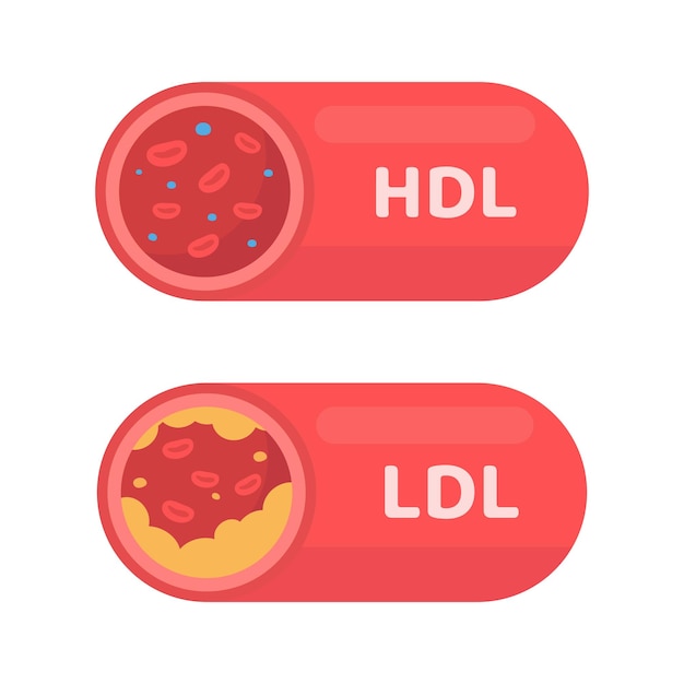 Vibrant Illustration of HDL and LDL Cholesterol Particles | Jiffy Designs