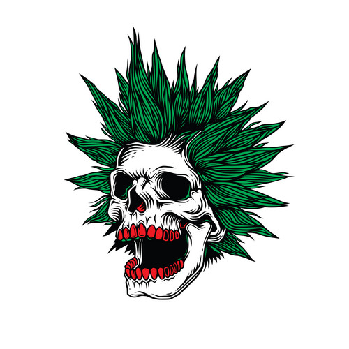 Abstract Vector Illustration. A Crazy Skull With A Crazy Hairstyle With ...