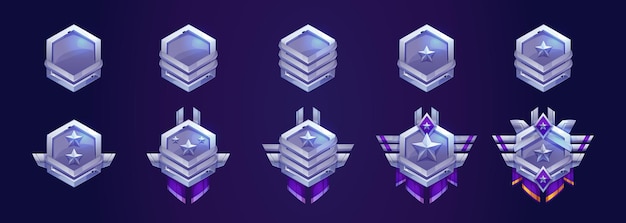 Diverse Collection of Iconic Silver and Purple Rank Badges | Jiffy Designs