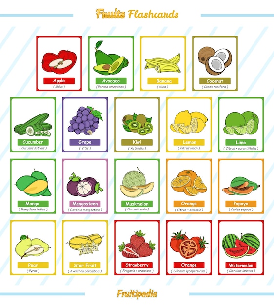 Vibrant Fruit and Vegetable Flashcards with Playful Illustrations ...