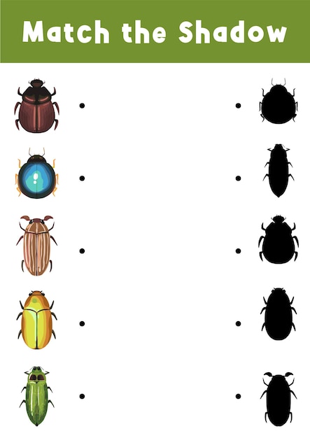 Vibrant Insect Silhouettes: A Playful Match the Shadow Game | Jiffy Designs