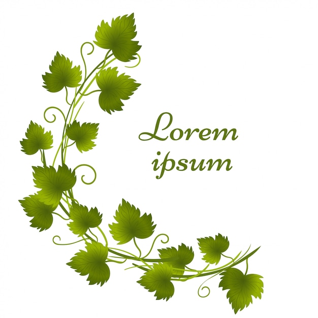 Lush Green Grapevine with Flowing Tendrils and Leaves | Jiffy Designs