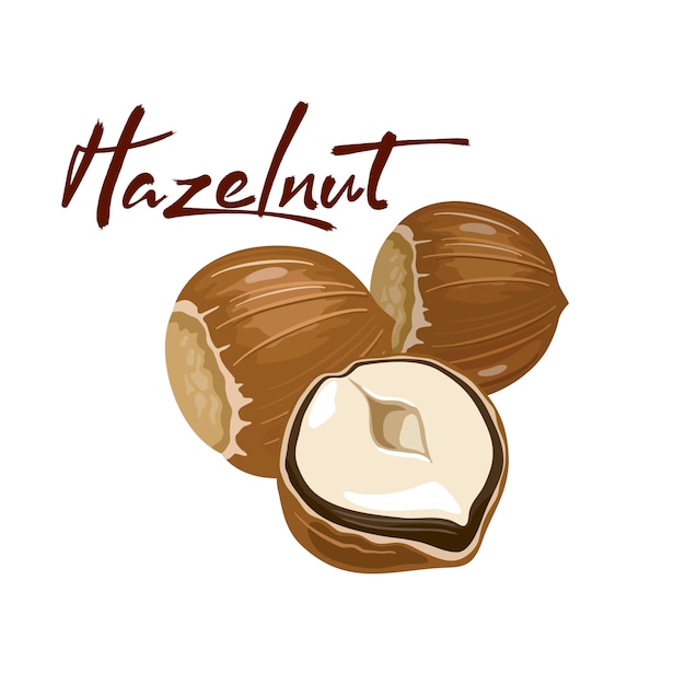 Delectable Hazelnut Confections with Creamy Interiors | Jiffy Designs