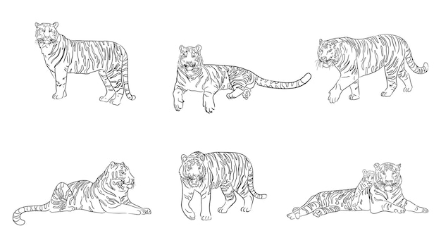 Majestic Tigers: A Graceful Line Art Menagerie | Jiffy Designs