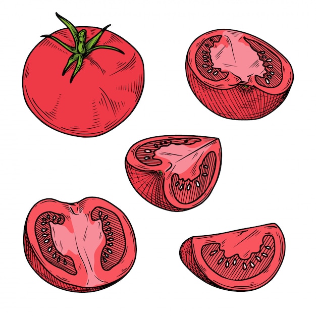 Vibrant Tomato Slices Revealing Juicy Interior Textures | Jiffy Designs