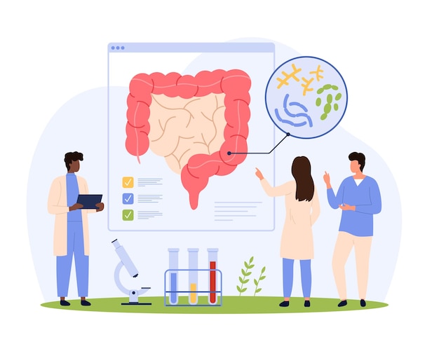 Colorful Digestive System Diagram with Medical Professionals | Jiffy ...