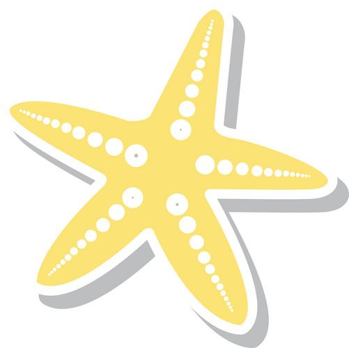 Star Fish Summer Isolated Icon Vector Illustration Design Vector ...