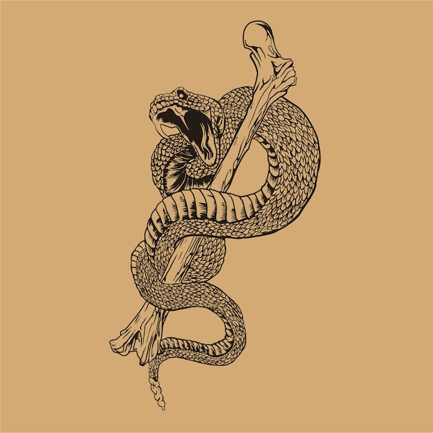 Intricate Snake Illustration with Vintage Engraving Style on Tan ...
