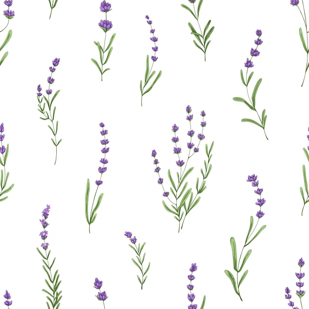 Delicate Lavender Blooms Adorn Serene Meadow | Jiffy Designs