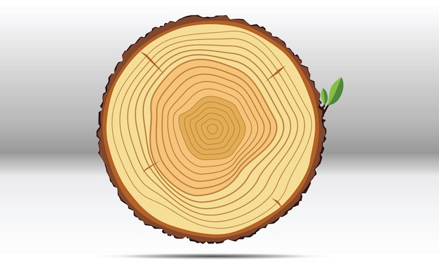 Vibrant Wooden Cross-Section with Concentric Rings and Leaf | Jiffy Designs