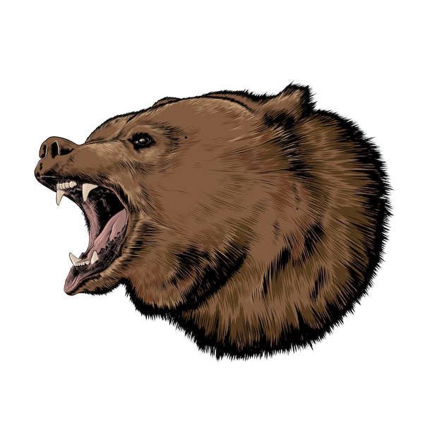 Fierce Grizzly Bear Head Illustration with Roaring Expression | Jiffy ...