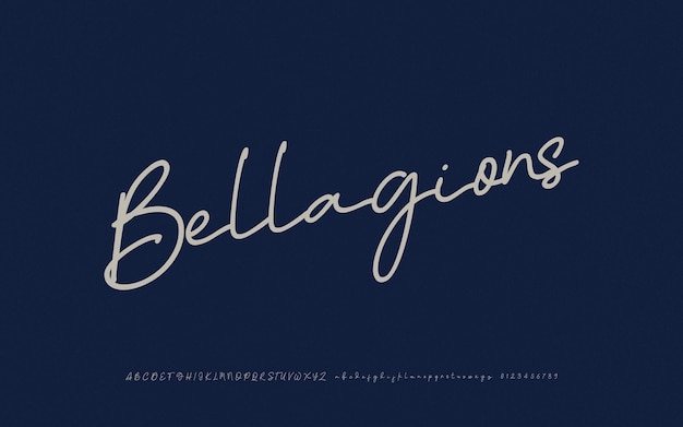 Elegant Cursive Lettering with Intricate Flourishes on Navy | Jiffy Designs