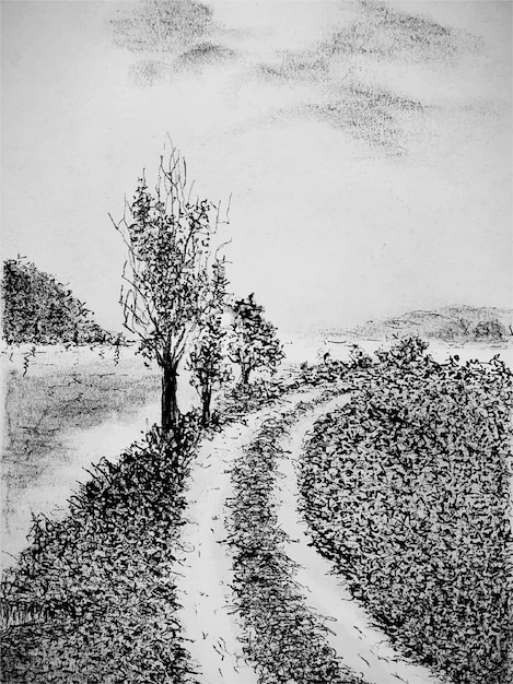 Winding Path Through Countryside Landscape Drawing | Jiffy Designs