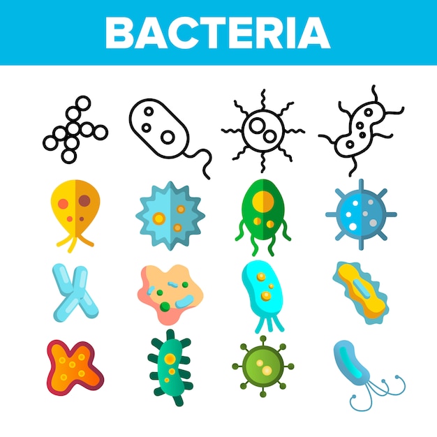 Vibrant Bacterial Collection: Diverse Microbes Depicted in Playful ...