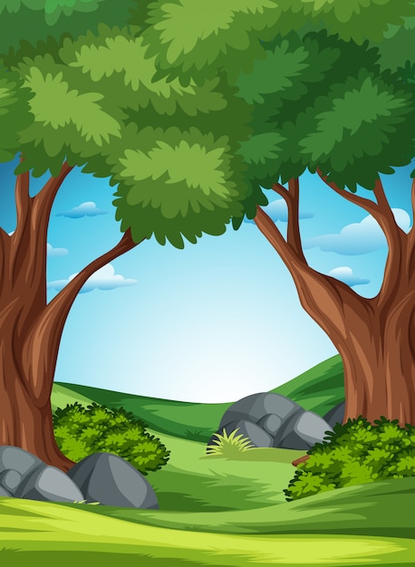 Lush Forest Landscape with Towering Trees and Rolling Hills | Jiffy Designs