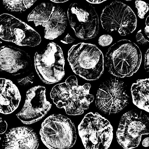 Abstract Seamless Pattern With Saw Cut Tree Trunks Isolated On Black ...