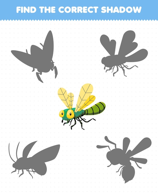 Discover the Insect Shadow Match | Jiffy Designs
