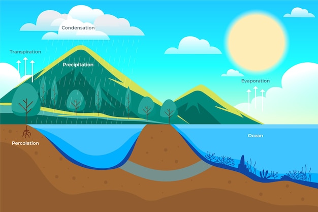 Captivating Landscape: A Visual Journey Through the Water Cycle | Jiffy ...