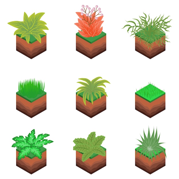 Isometric Plant Illustrations with Geometric Pots Collection | Jiffy ...