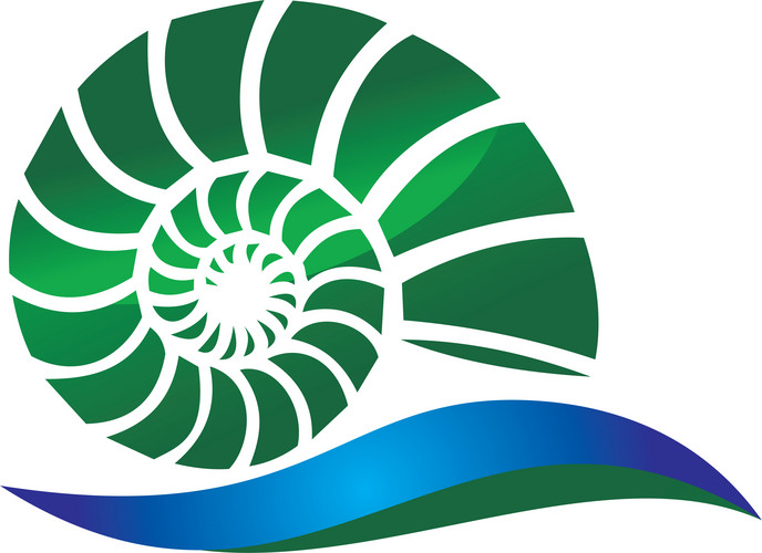 Sea Shell Modern | Jiffy Designs