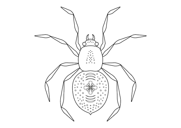 Intricate Arachnid Illustration with Geometric Patterns | Jiffy Designs