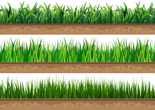 Vibrant Grass Borders with Wooden Plank Dividers | Jiffy Designs