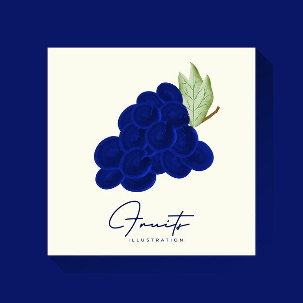 Elegant Navy Blue Grape Cluster with Leaf Illustration | Jiffy Designs
