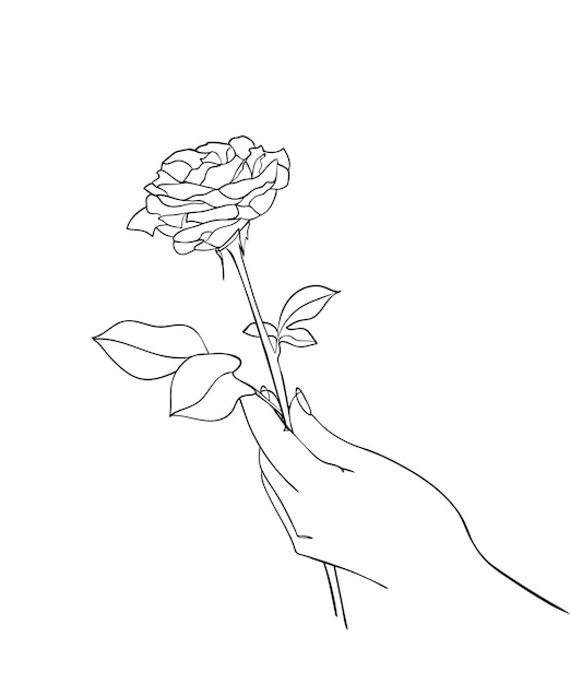 Minimalist Line Art Rose Illustration | Jiffy Designs