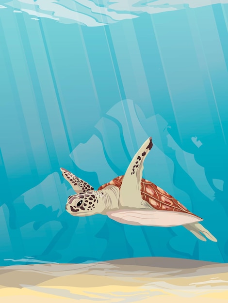 Graceful Sea Turtle Swimming Through Tranquil Underwater Currents ...
