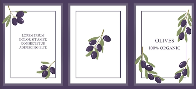 Elegant Olive Branch Frames with Organic Olives | Jiffy Designs