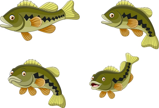 Vibrant Collection of Cartoon Fish with Playful Expressions | Jiffy Designs