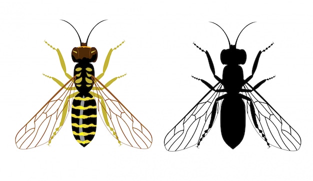 Striking Wasp-Inspired Illustrations with Intricate Details | Jiffy Designs