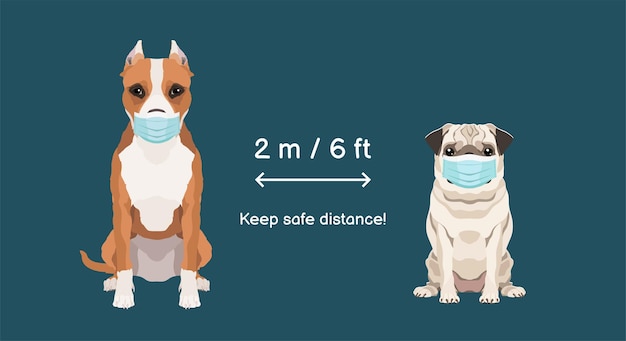 Canine Companions in Masks Maintain Safe Distance | Jiffy Designs