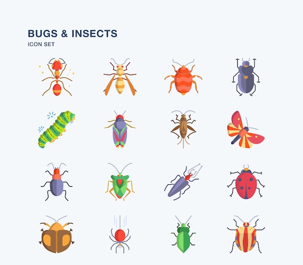 Vibrant Diversity of Crawling Creatures: Bugs and Insects Illustrated ...
