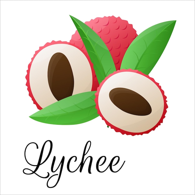 Vibrant Lychee Fruit with Textured Shell and Leaves | Jiffy Designs