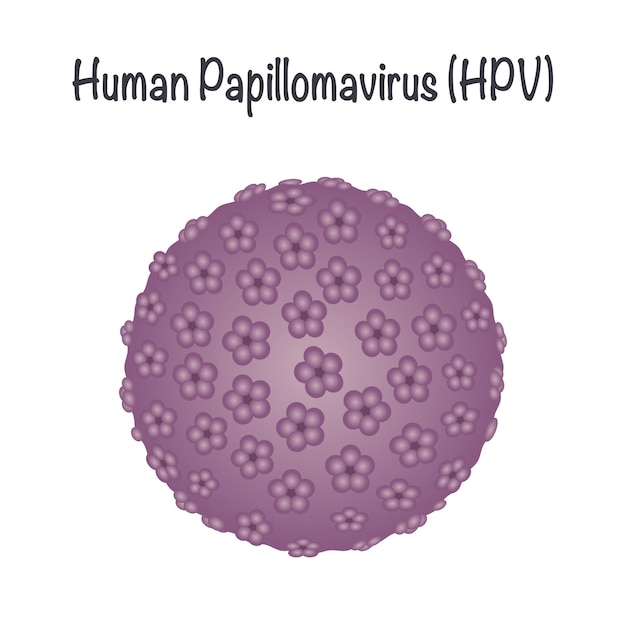 Detailed Illustration of the Human Papillomavirus (HPV) | Jiffy Designs