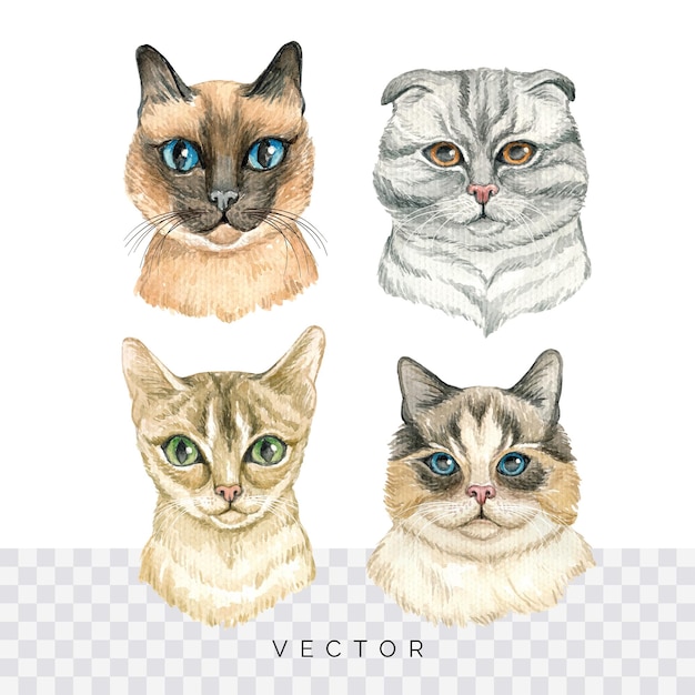 Captivating Feline Portraits: A Vibrant Showcase of Cat Diversity ...