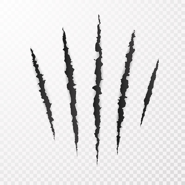 Dramatic Claw Marks Tearing Through Transparent Background | Jiffy Designs