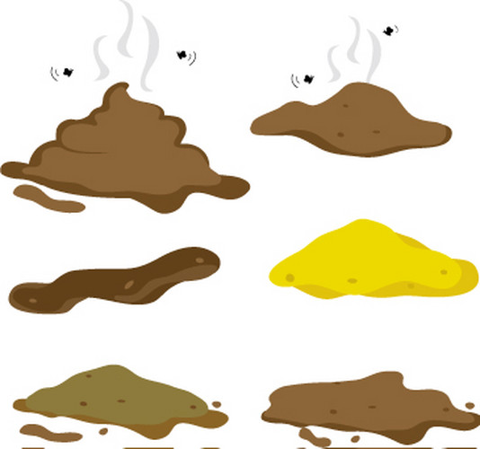 Poop Fecal Cartoon Vector | Jiffy Designs