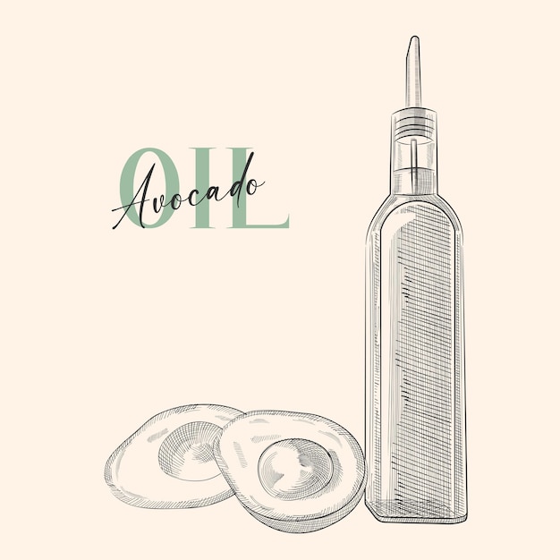 Avocado Oil Bottle and Sliced Avocados in Vintage Illustration | Jiffy ...