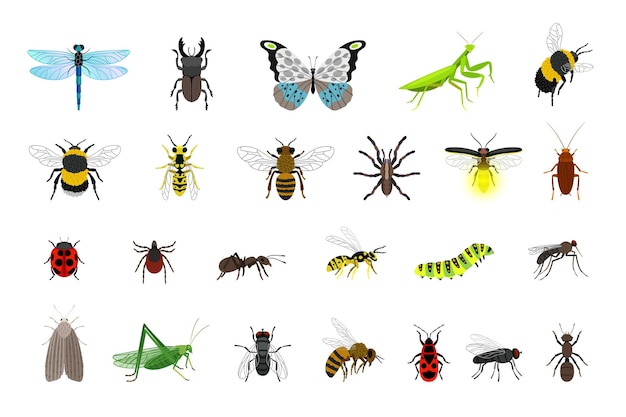 Vibrant Collection of Insect Illustrations with Diverse Species | Jiffy ...